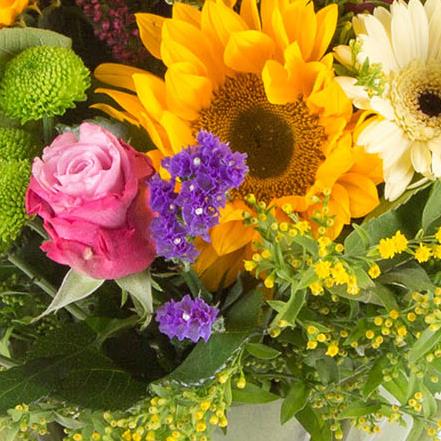 Sundance Sweet Pea Florist Helston