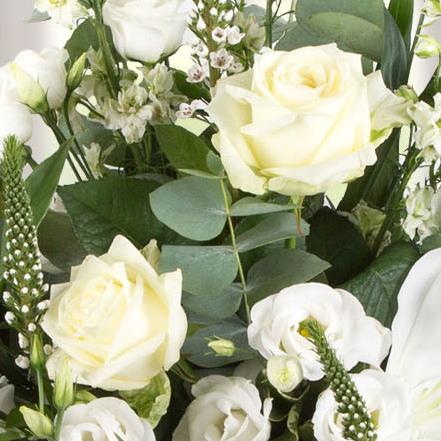 White Delight Sweet Pea Florist Helston